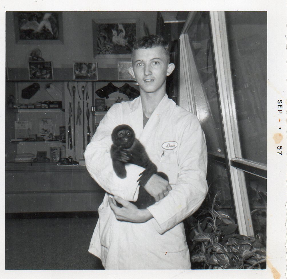 Buster the Playboy Monkey – Know Your Flocks & Herds