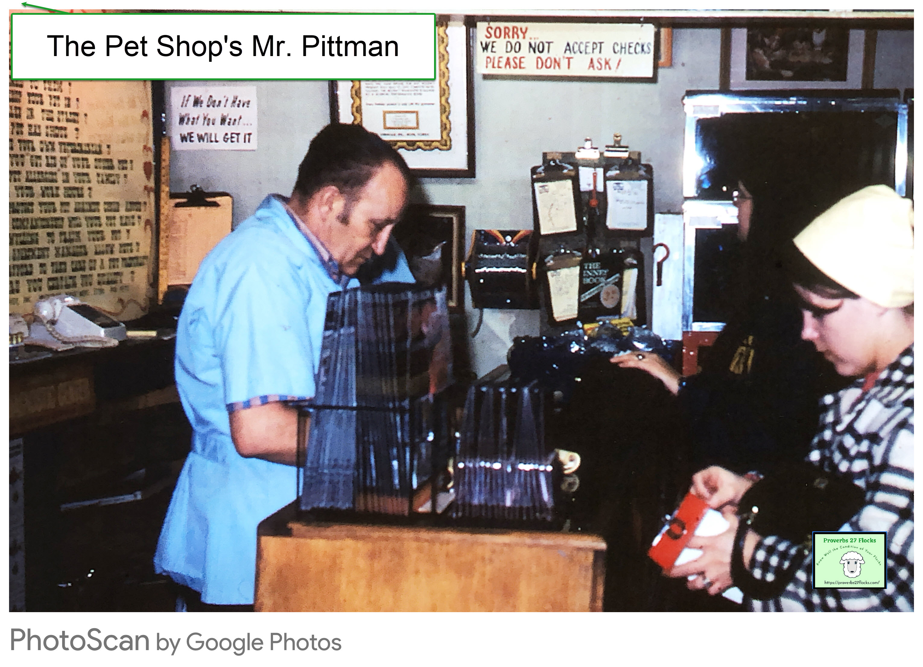 The Pet Shop’s Mr. Pittman – Know Your Flocks & Herds