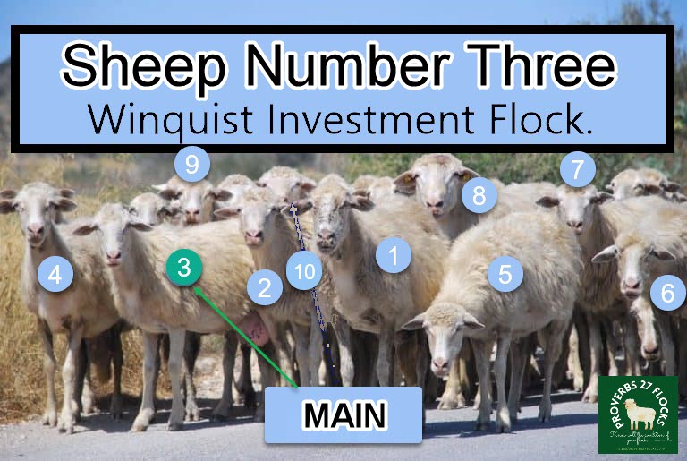 Number Three of the Top Ten Winquist Sheep – MAIN – Know Your Flocks ...