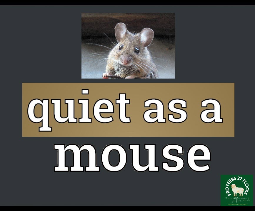 Quiet: Five Minute Friday – Know Your Flocks & Herds