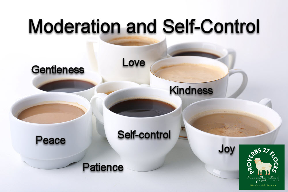 COFFEE: Five Minute Friday – Know Your Flocks & Herds