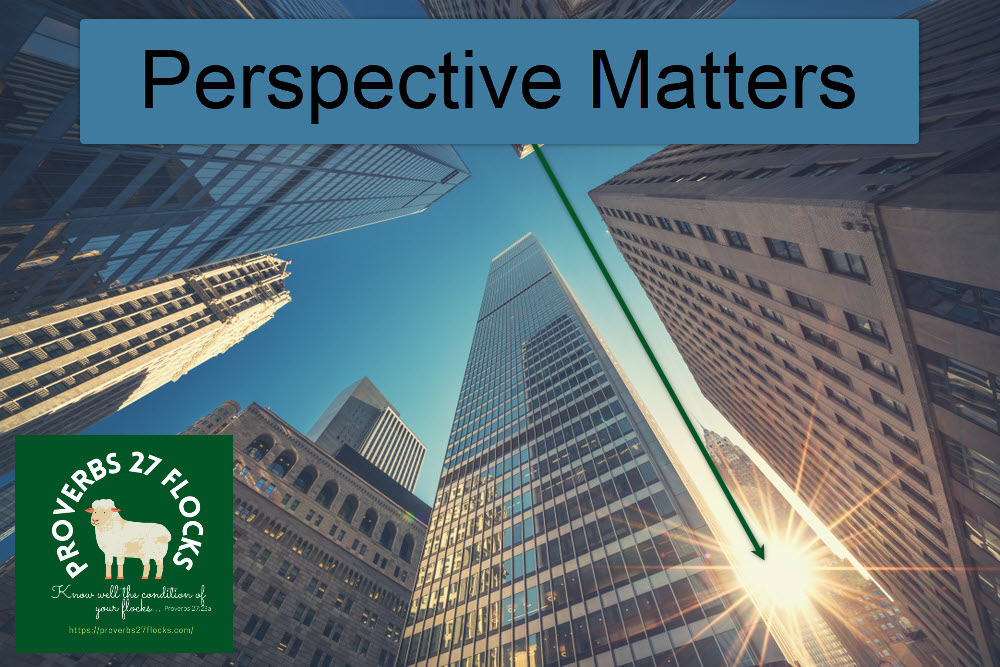 Long-term Investment Perspective – Know Your Flocks & Herds