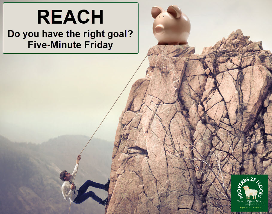 REACH: Five-Minute Friday – Know Your Flocks & Herds