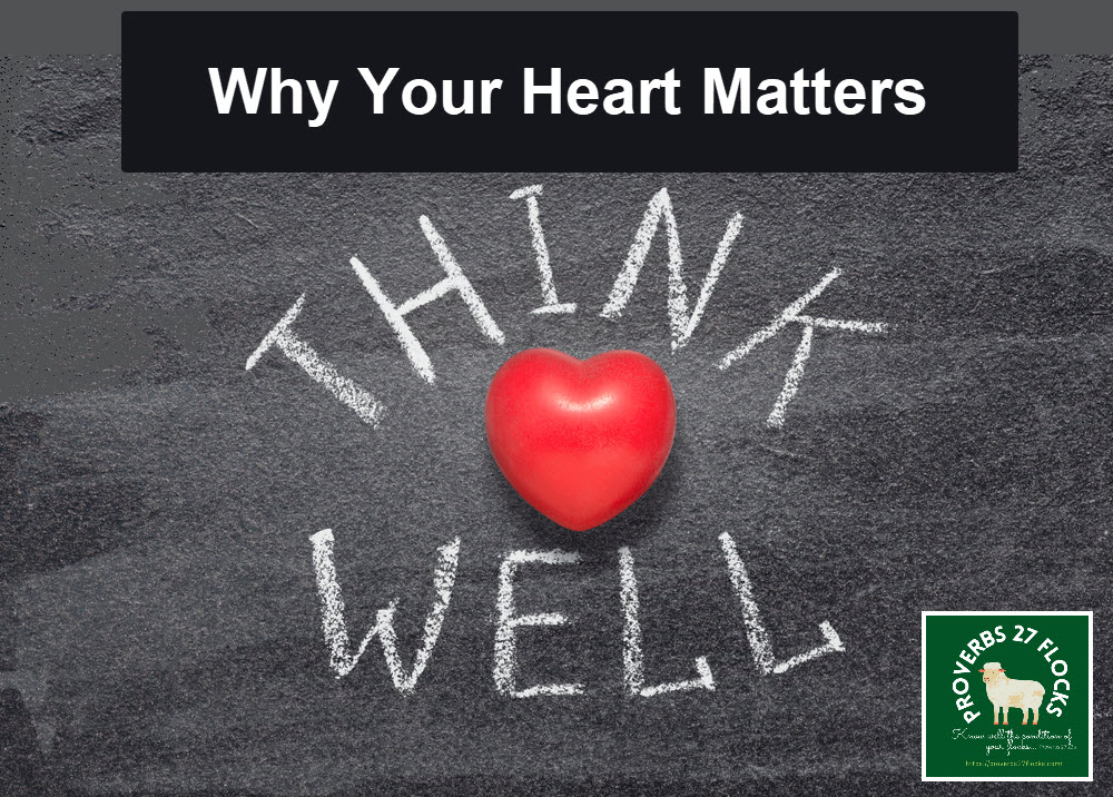 Why You Should Guard Your Heart – Know Your Flocks & Herds