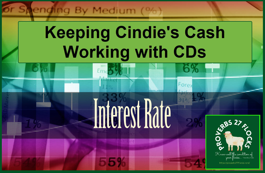 Keeping Cindie’s Cash Working – Know Your Flocks & Herds