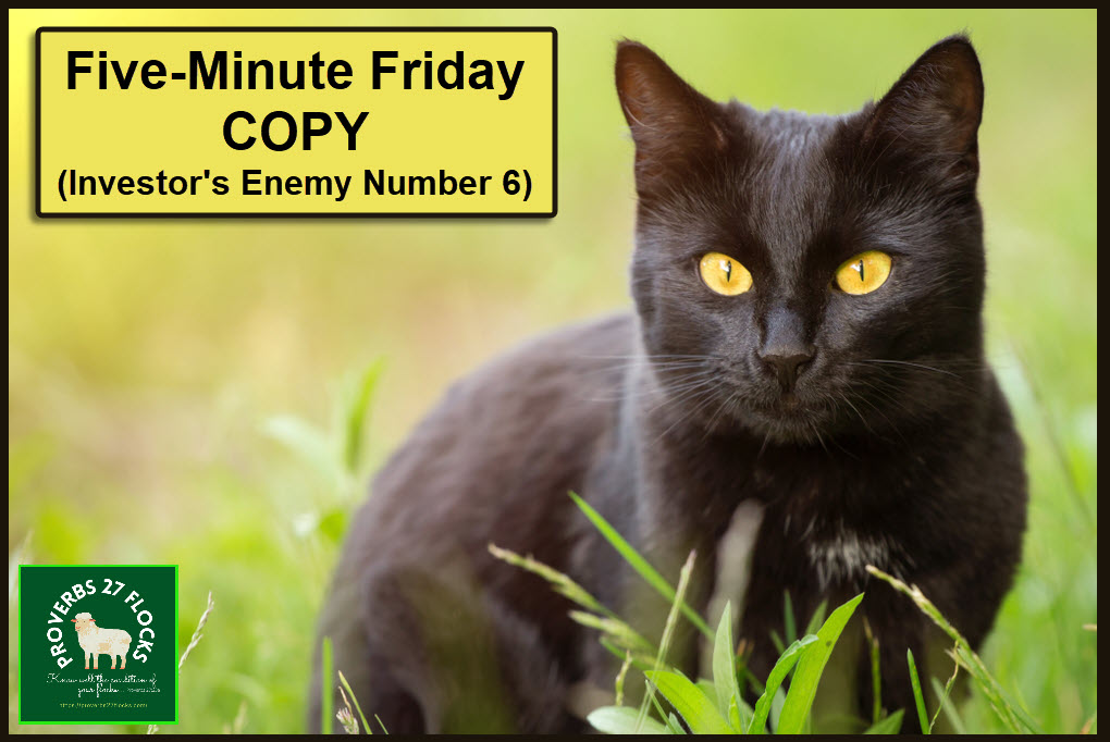 COPY: : Five-Minute Friday (And Investor Enemy No. 6) – Know Your ...