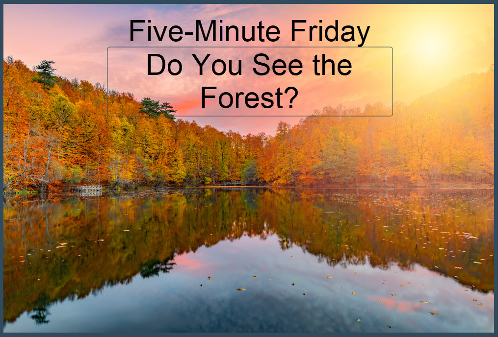 CLARIFY: Five-Minute Friday – Know Your Flocks & Herds