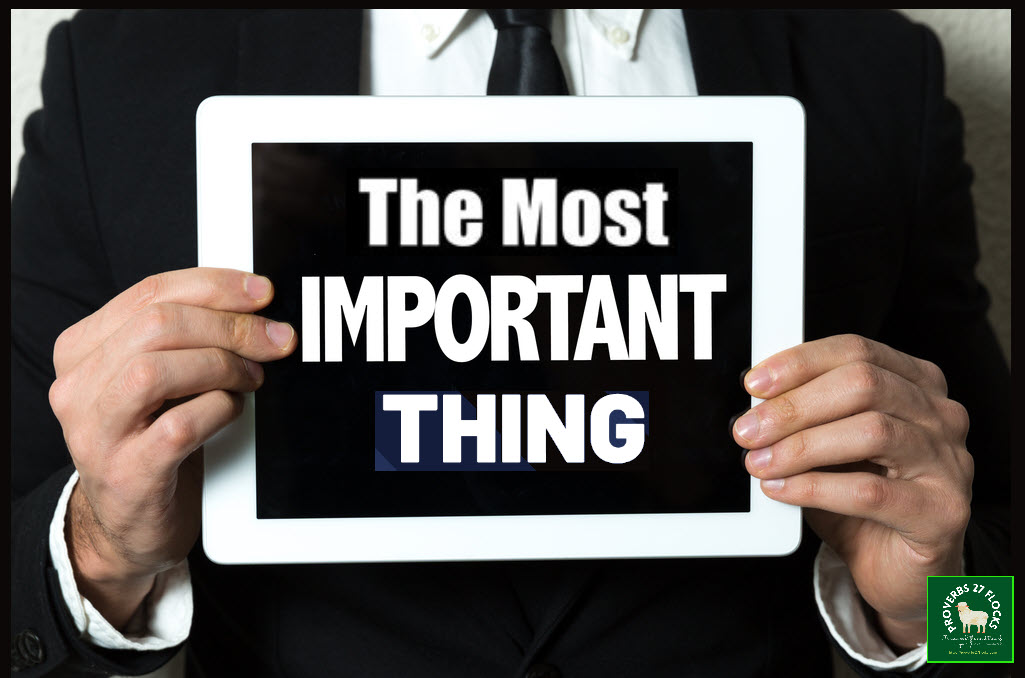 The Most Important Thing – Know Your Flocks & Herds
