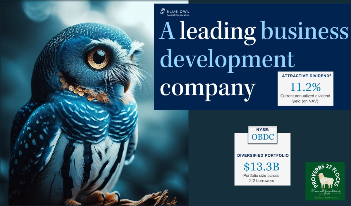 Blue Owl Collecting the Feather Molt Dividend – Know Your Flocks & Herds